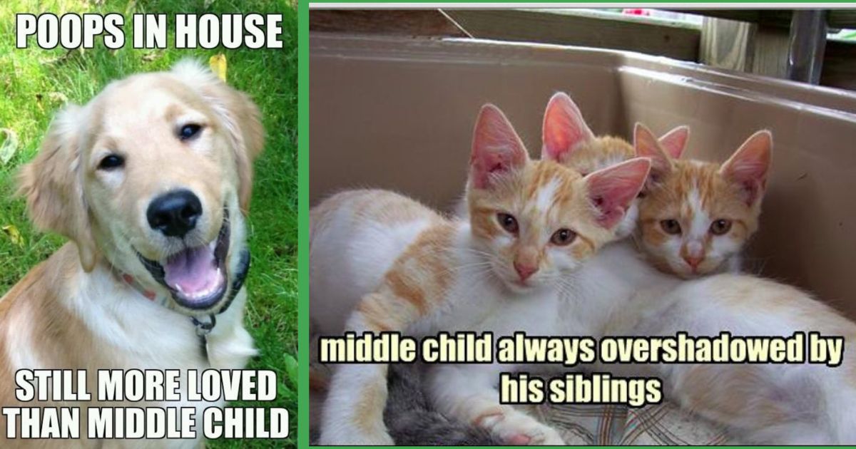 25 Memes You'll Understand if You're the Forever Forgotten Middle Child ...