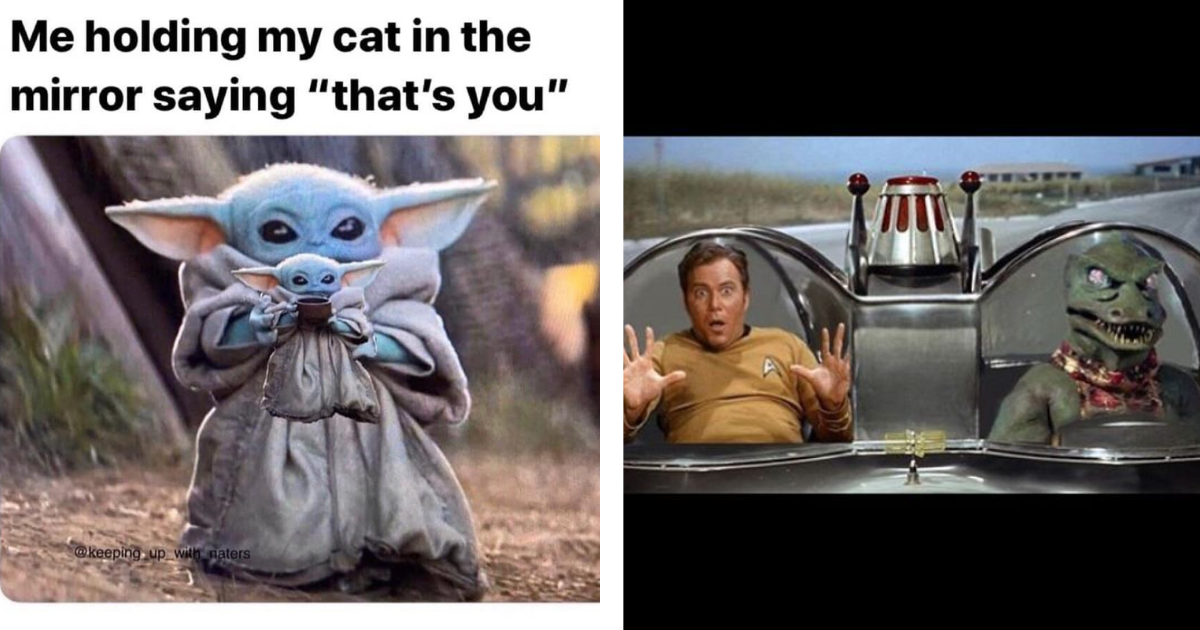 Fandom Frenzy: 30 Whacky Memes from the Geekiest Corners of Pop Culture ...