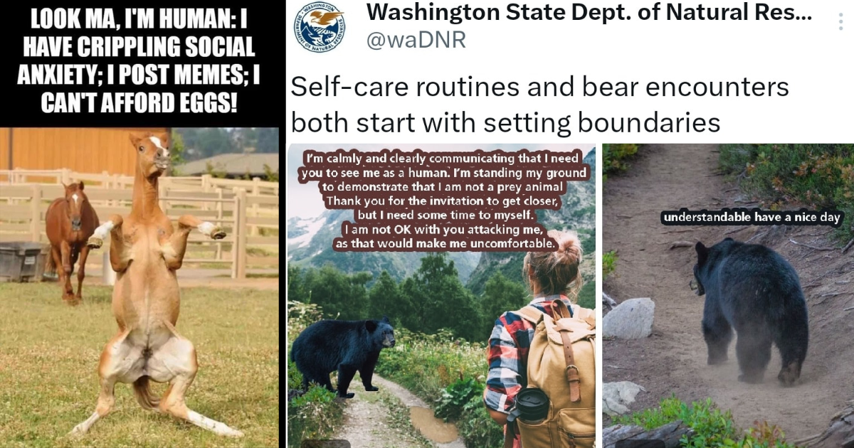 35+ Funniest Animal Memes To Help You Giggle Your Way Into A New Work ...