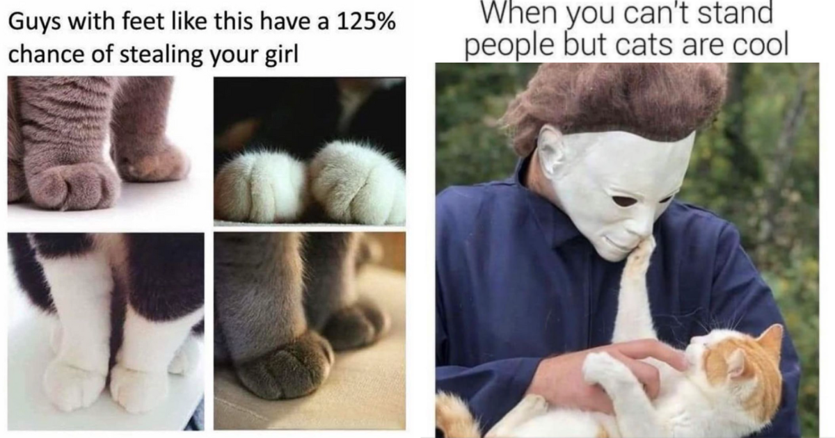 Pre-Caturday Purrs For Hoomans Supplied By 20 Hilarious Feline Memes ...