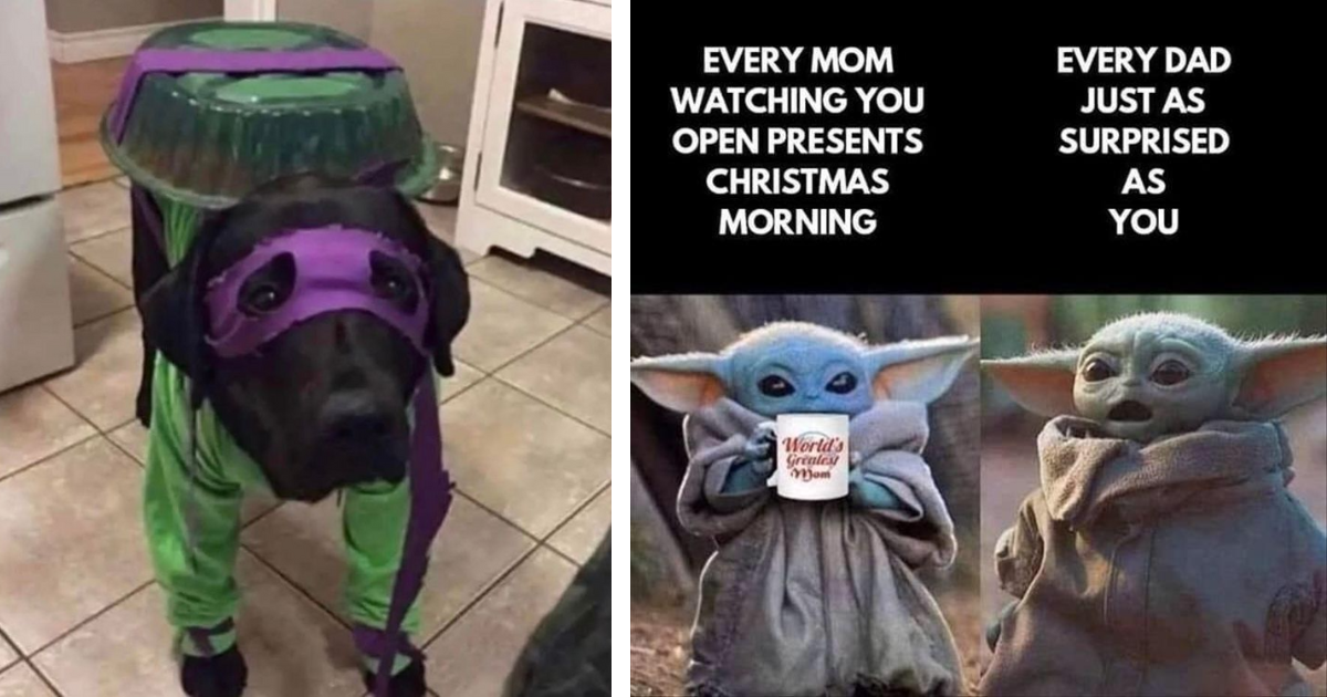 Epic Nerdgasm: A Warp-Speed Journey Through 31 Geeky Memes - Geek ...