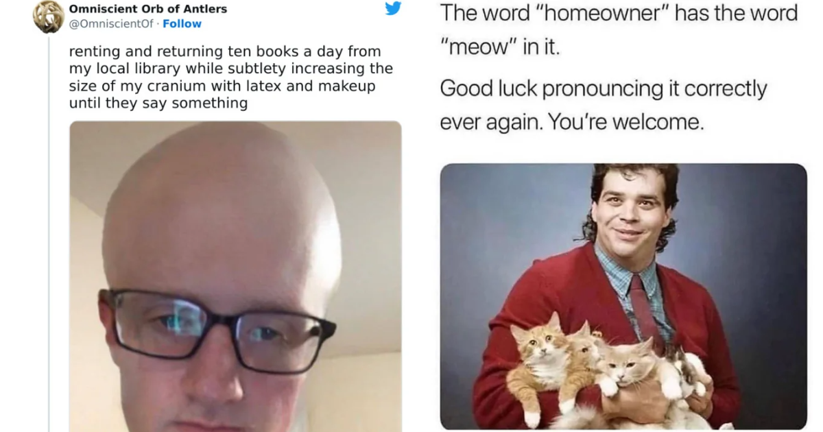 Weird Wide Web: 32 Hilarious Moments That Prove Normal is Overrated ...