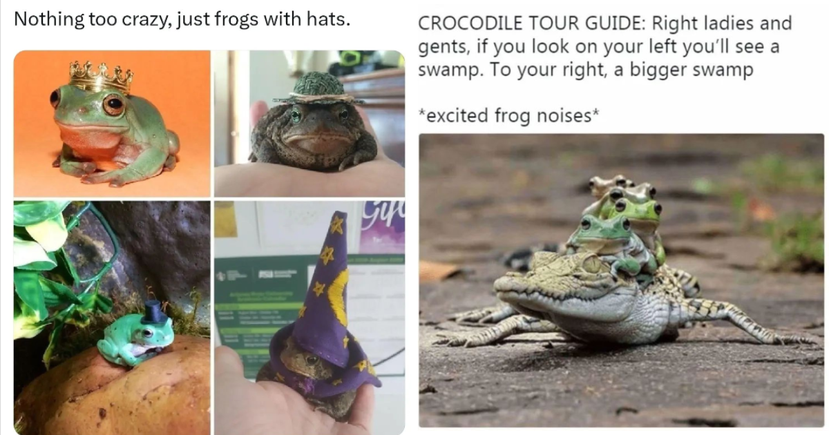 18 Ribbiting Frog And Toad Memes For A Hopping Sunday - Animal Comedy ...