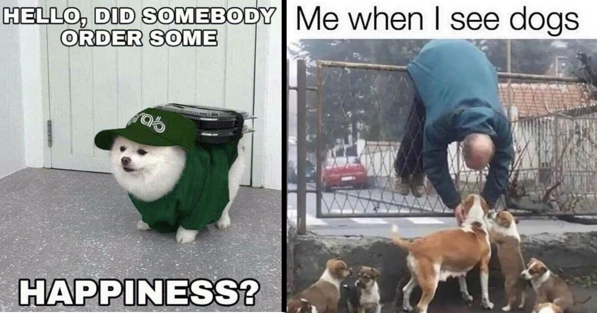 Doggie Dump of Dopamine To Ride Until The End Of The Work Week (July 18 ...