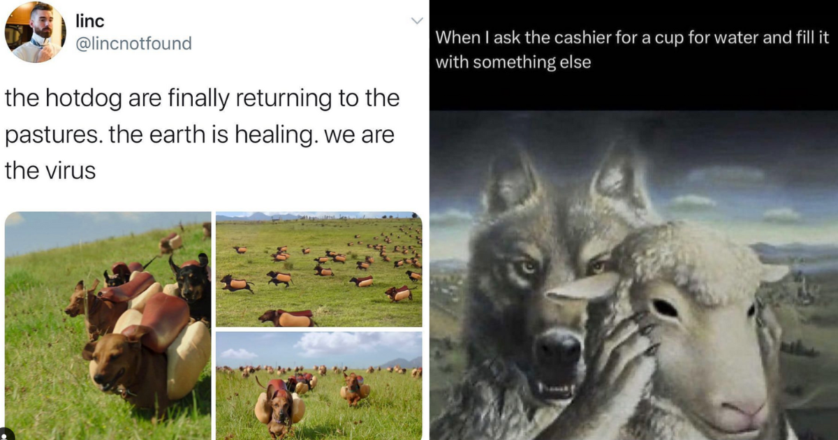 30+ Absurd Animal Memes That 100% Pass The Vibe Check This Week (July ...