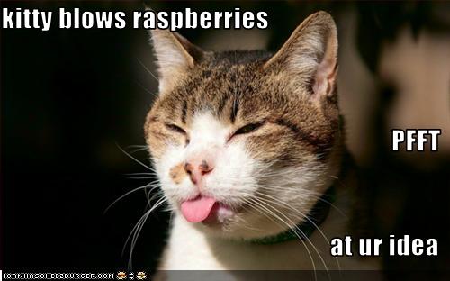 kitty blows raspberries PFFT at ur idea - Cheezburger - Funny Memes ...