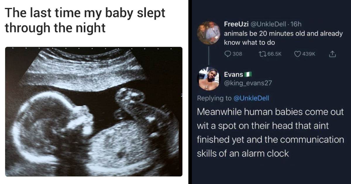 20+ Newborn Memes for Exhausted Parents Whose Tiny Baby Has a Big ...