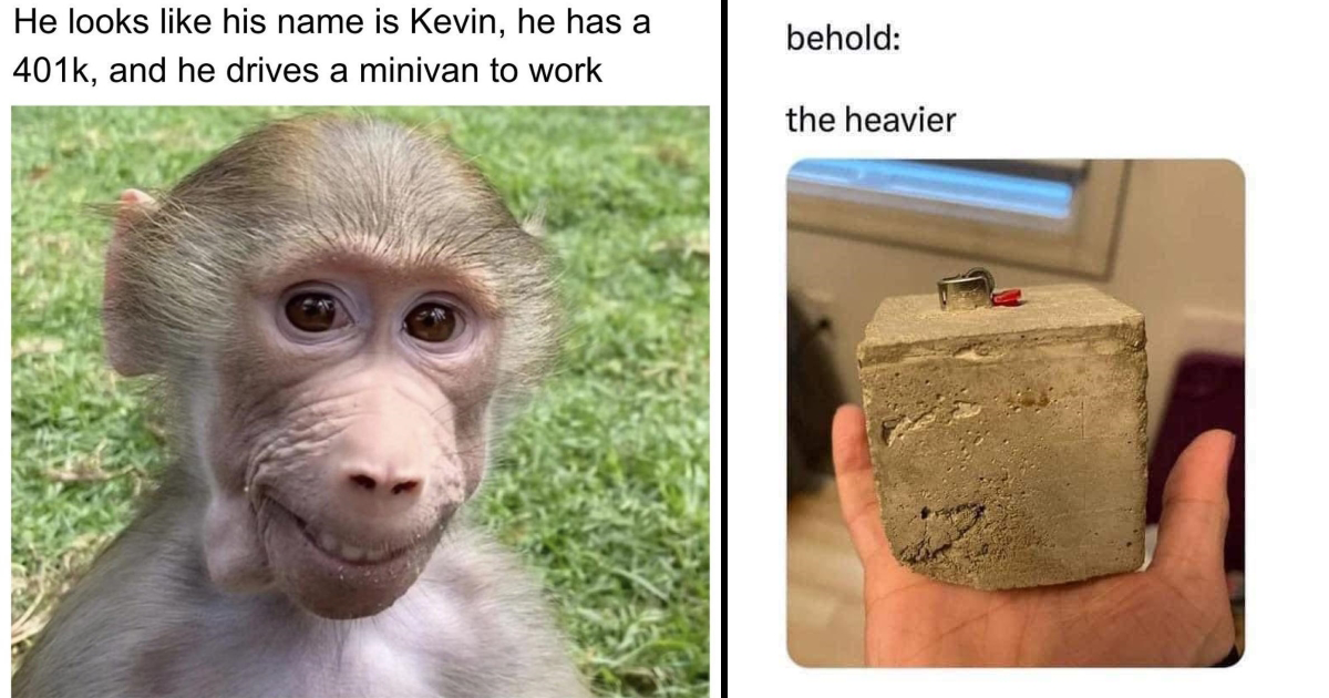 A Light Spackling of 32 Memes - Memebase - Funny Memes