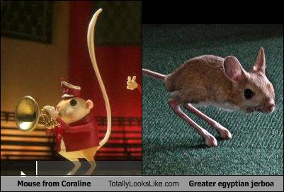 Mouse from Coraline Totally Looks Like Greater egyptian jerboa ...