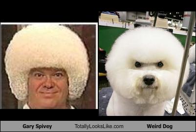 Totally Looks Like - gary spivey - Cheezburger