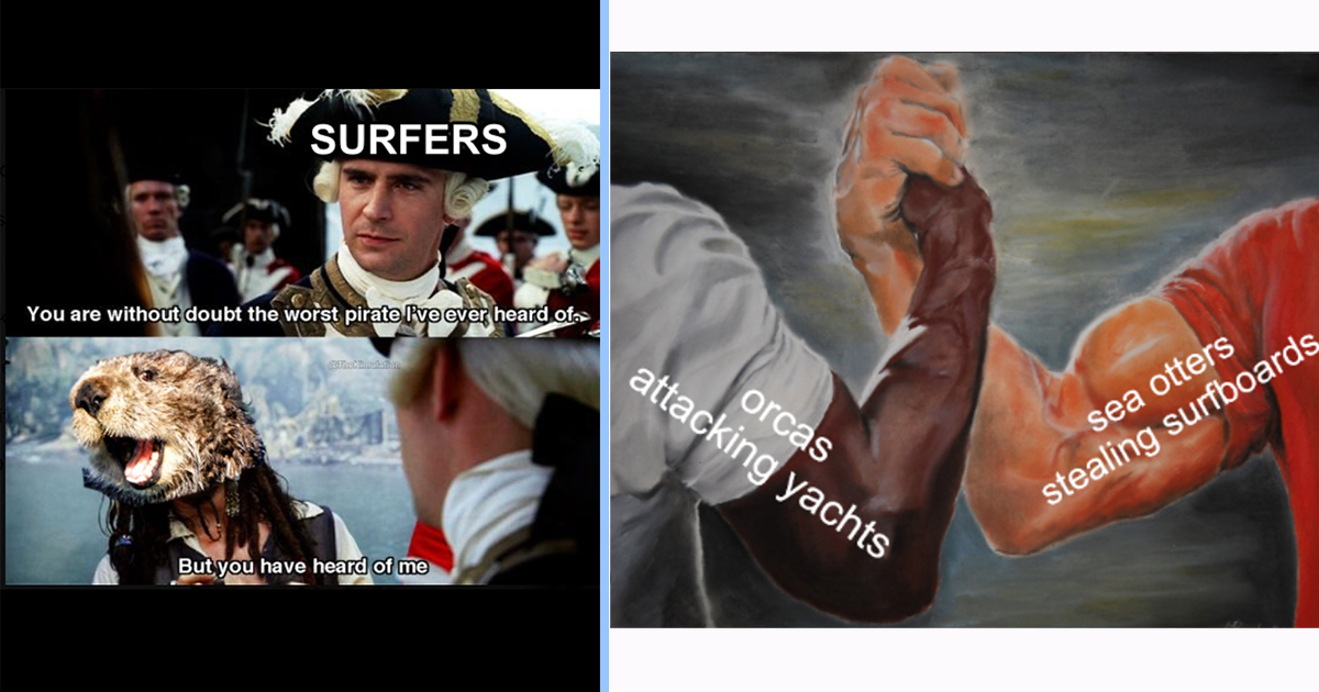 16 Otterly Funny Otter 841 Memes That Are Team 'Keep Her Free' - Animal ...