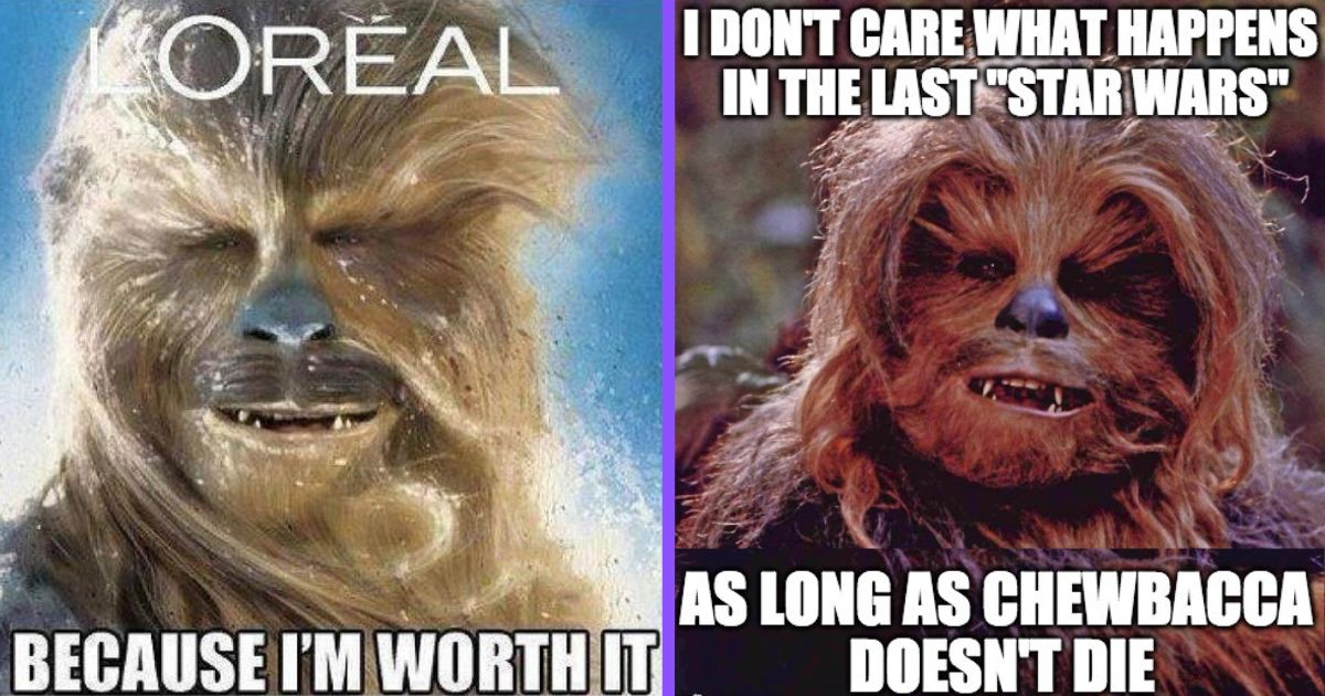 Hairy Hero: 25 Funny Chewbacca Memes Any Star Wars Fan Would Laugh At ...