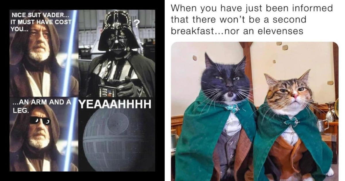 Grumpy Cat Meme Darth Vader