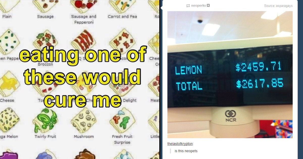 A Tombola of 17 Neopets Memes for Neopian Citizens Who Visited the ...