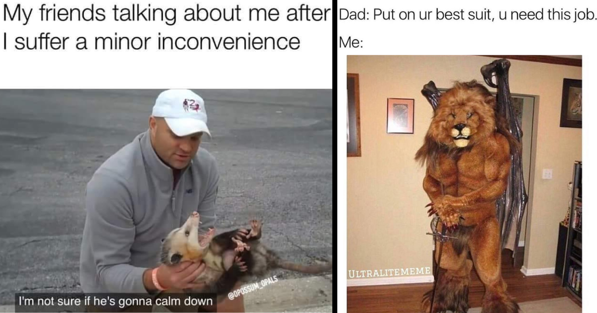 35+ Funniest Animal Memes To Help You Giggle Your Way Into A New Work ...