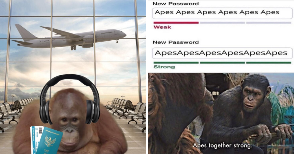 Rise Of The Ape Memes - 20 Ape-solutely Hilarious Primate Memes And ...