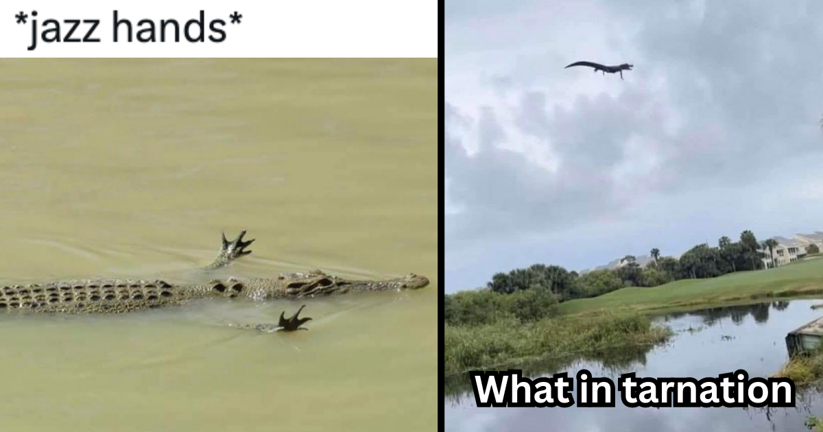 See Ya Later, Alligator: 23 Goofy Gater Tweets That Take A Real Bite ...