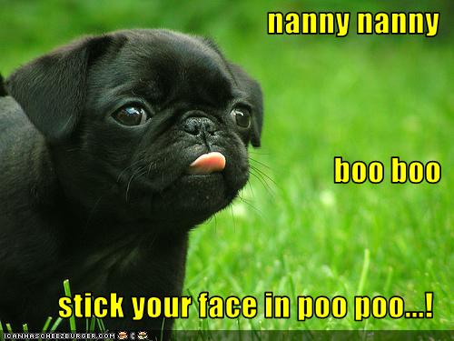 nanny nanny boo boo stick your face in poo poo...! - Cheezburger ...