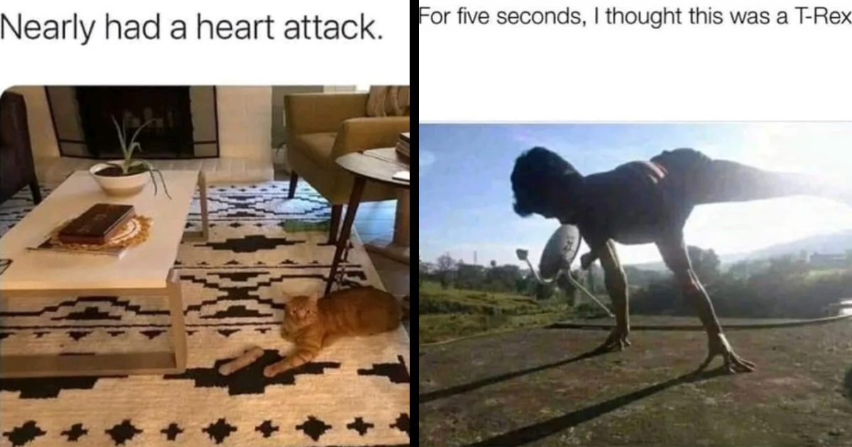 'For five seconds, I thought this was a T-Rex': 20+ Peculiar photos ...