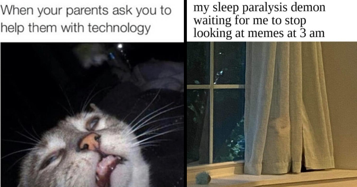 40+ Purrfectly Giggle-Worthy Cat Memes For All The Grumpy Cats Who ...