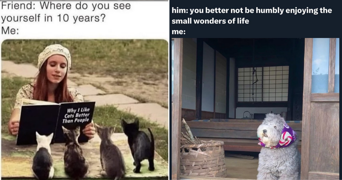 33 Absolutely Absurd Animal Memes That 100% Pass The Vibe Check This Week (August 3, 2023 ...