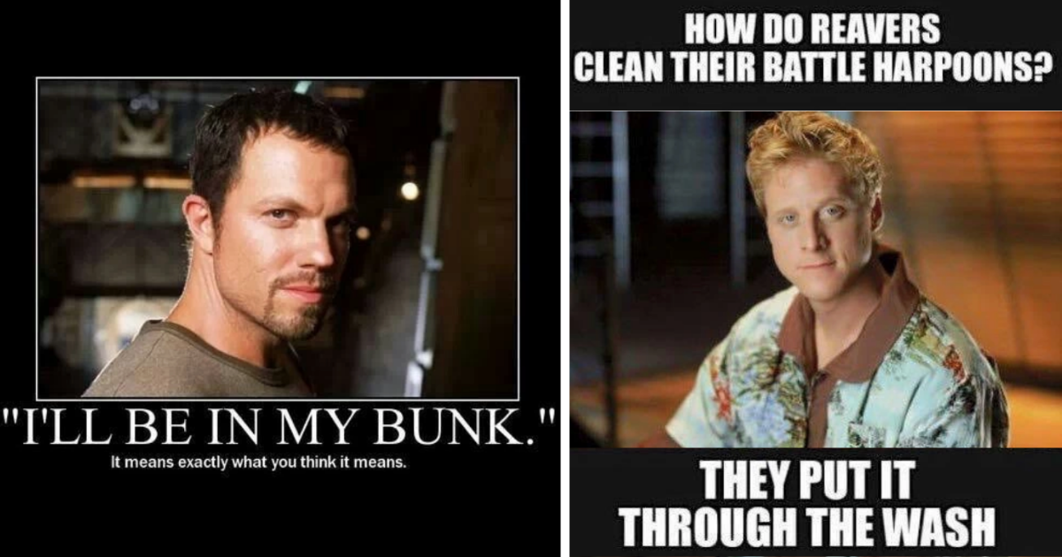 24 Funniest Firefly Memes That Are The Literal Definition of 'Shiny ...