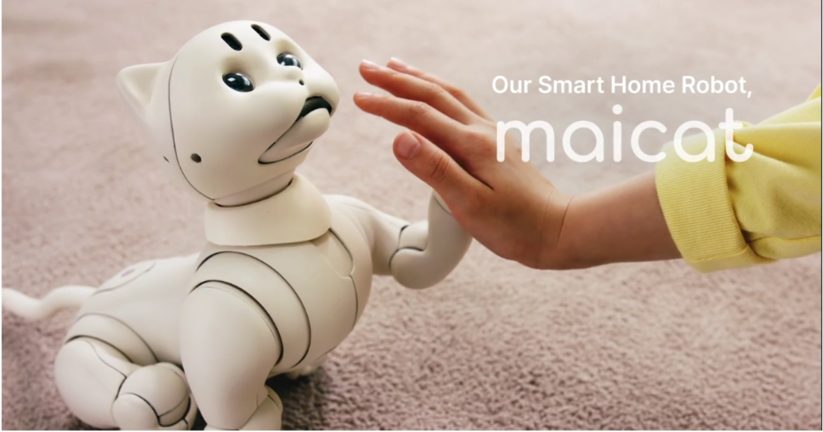 Meet Maicat - The First AI Cat That Won't Wake You Up At The Crack Of ...