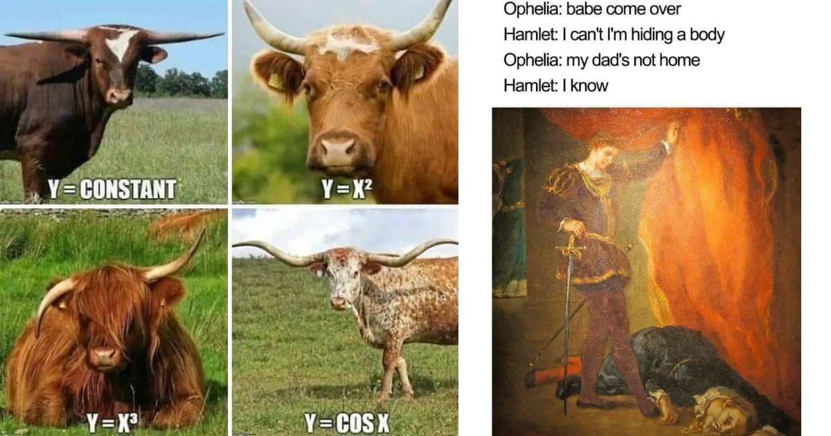 33 Clever Memes for Smart People Who Aren’t Afraid of a Good Math Pun ...