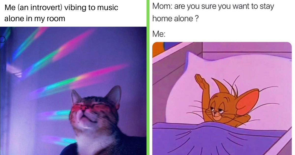 32 Grateful Loner Memes to Recharge Every Introvert's Social Battery ...