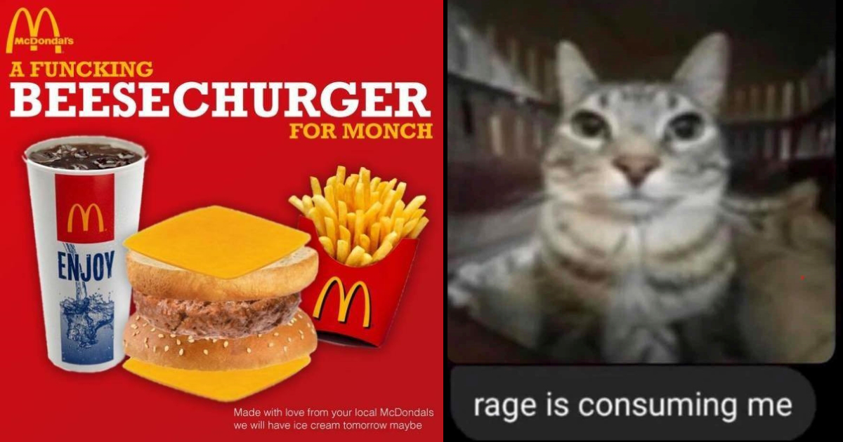 An Invigorating Zap of Memes - Memebase - Funny Memes