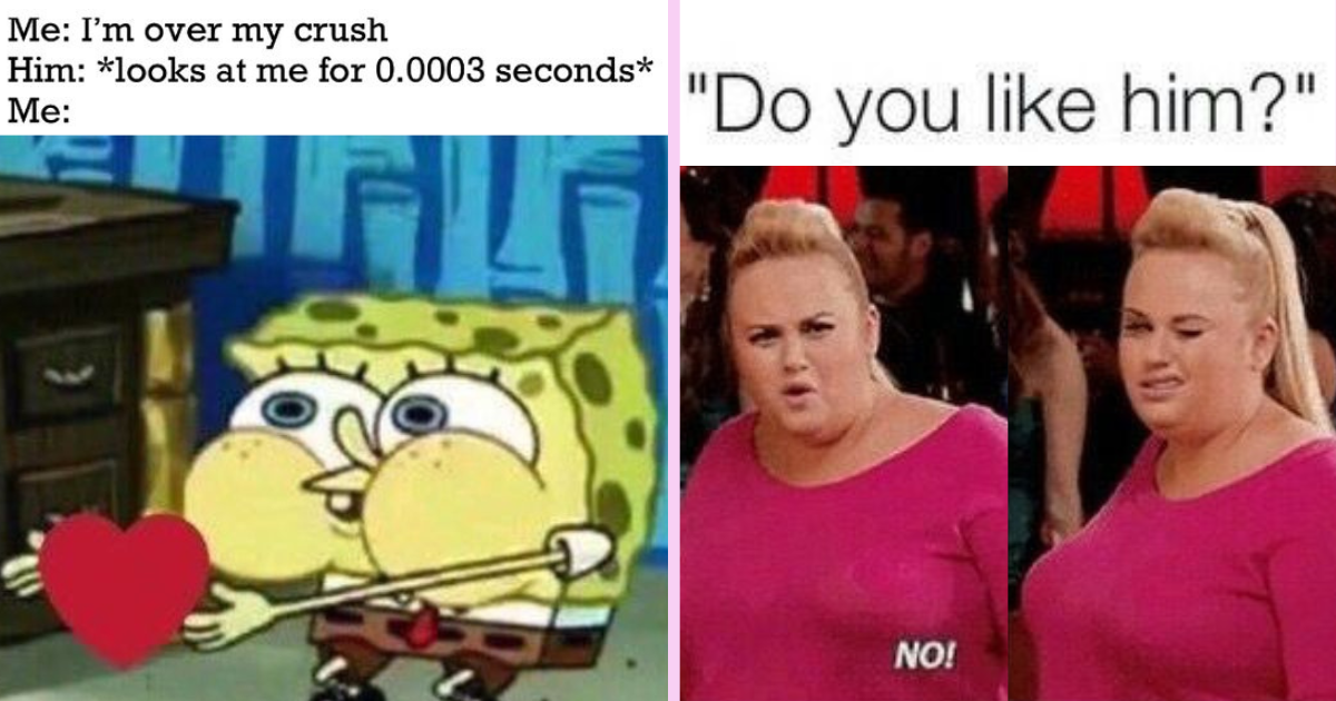 25 Fluttering Feeling Memes Capturing Every Emotion of Crush-Conjured ...