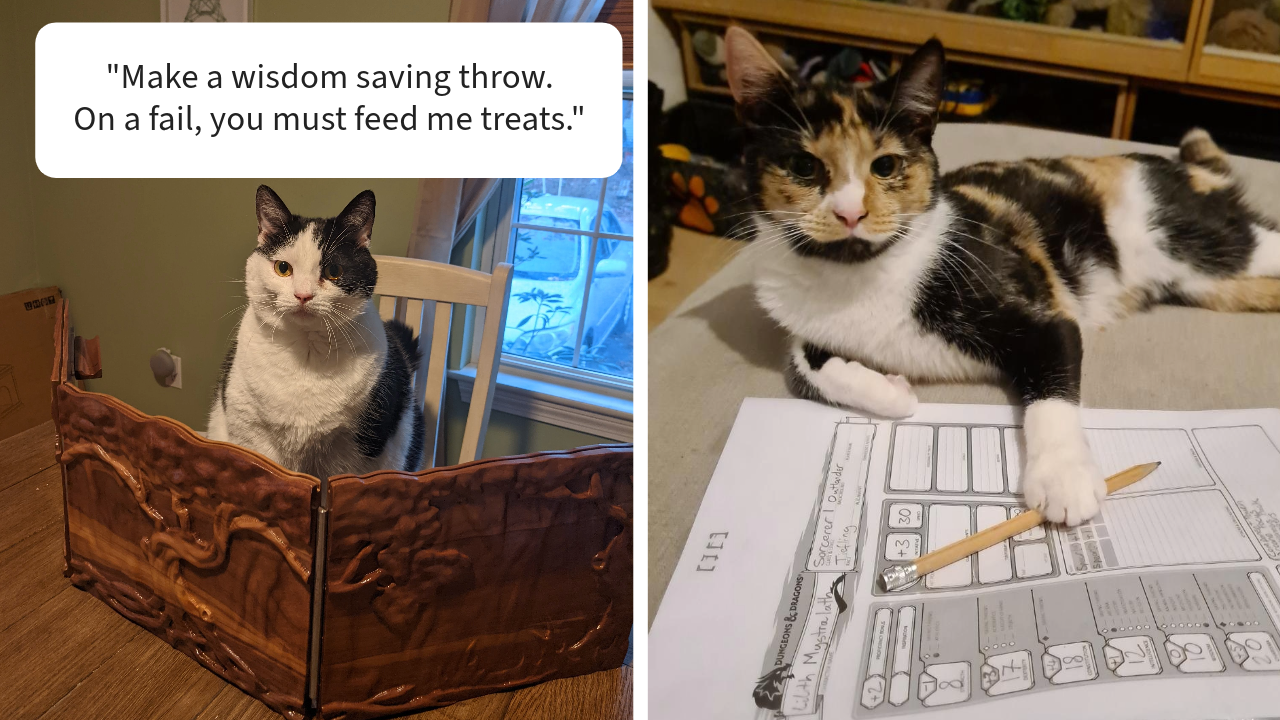 Meet The Fearsome Feline Dungeon Masters: Wholesome Pics Of Kitties ...