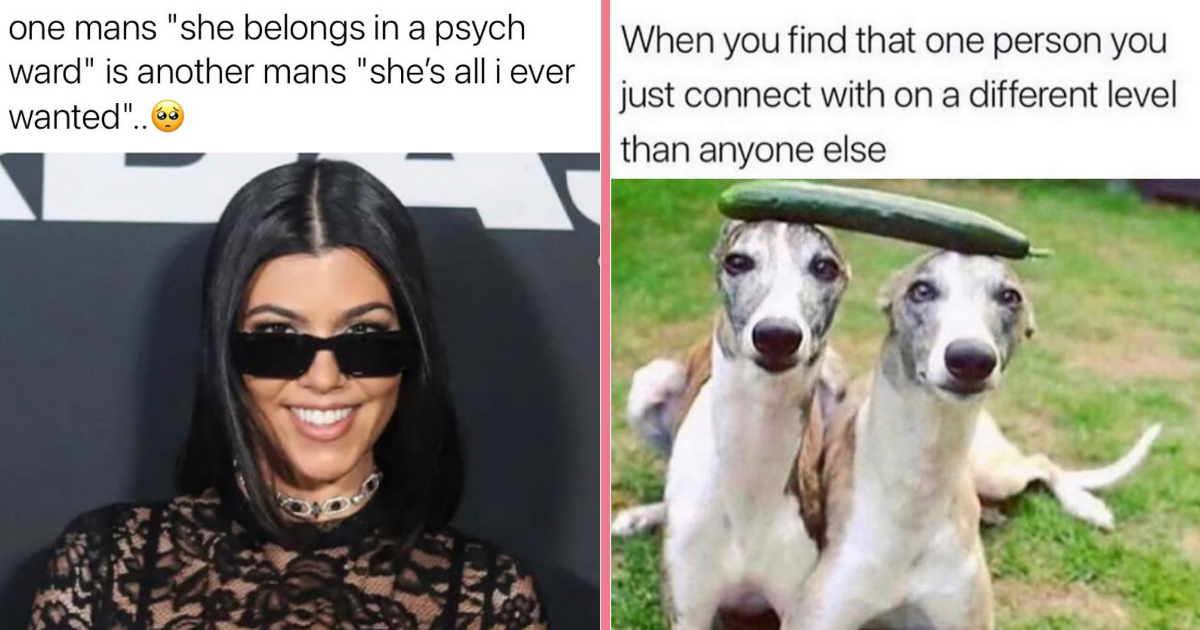 32 Compatible Companionship Memes Proving that Your Perfect Match Is ...