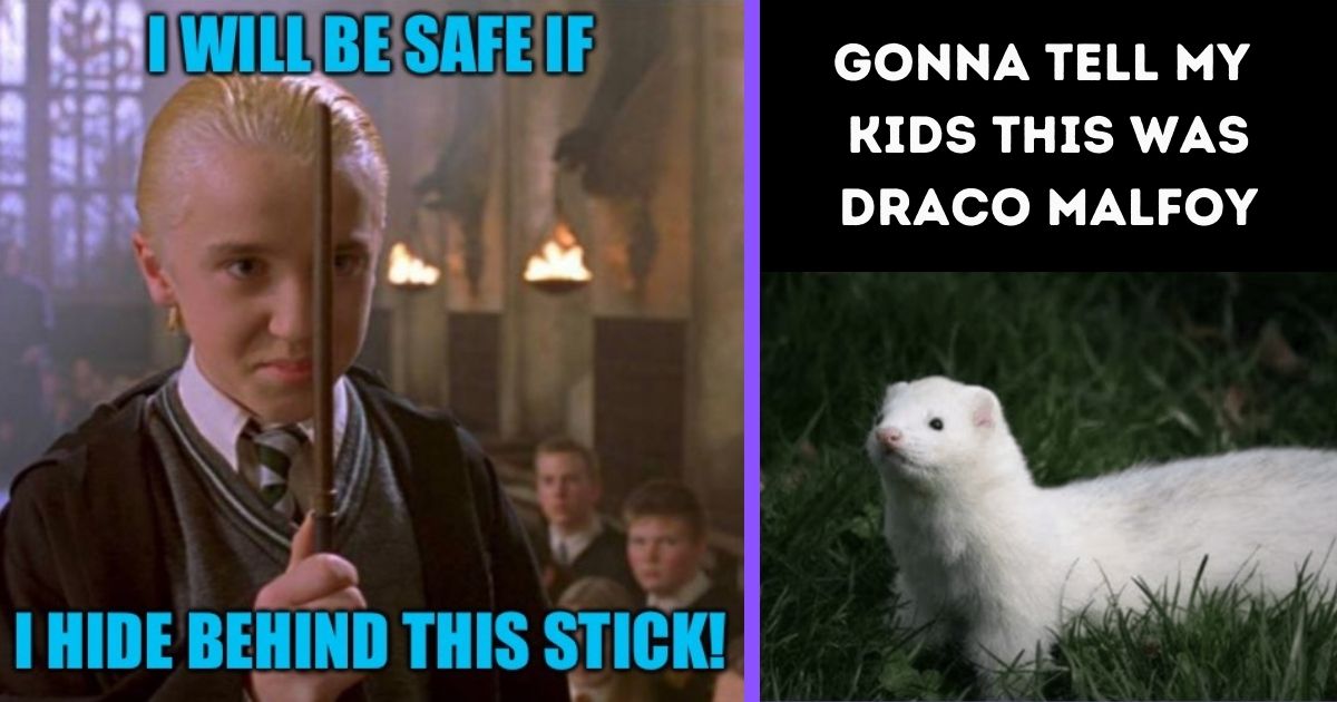Draco Malfoy Jokes