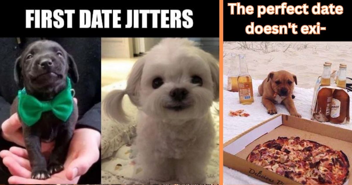 Doggy Date Night: 30 Memes Encouraging You to Put Yourself Out There in the Name of Love ...