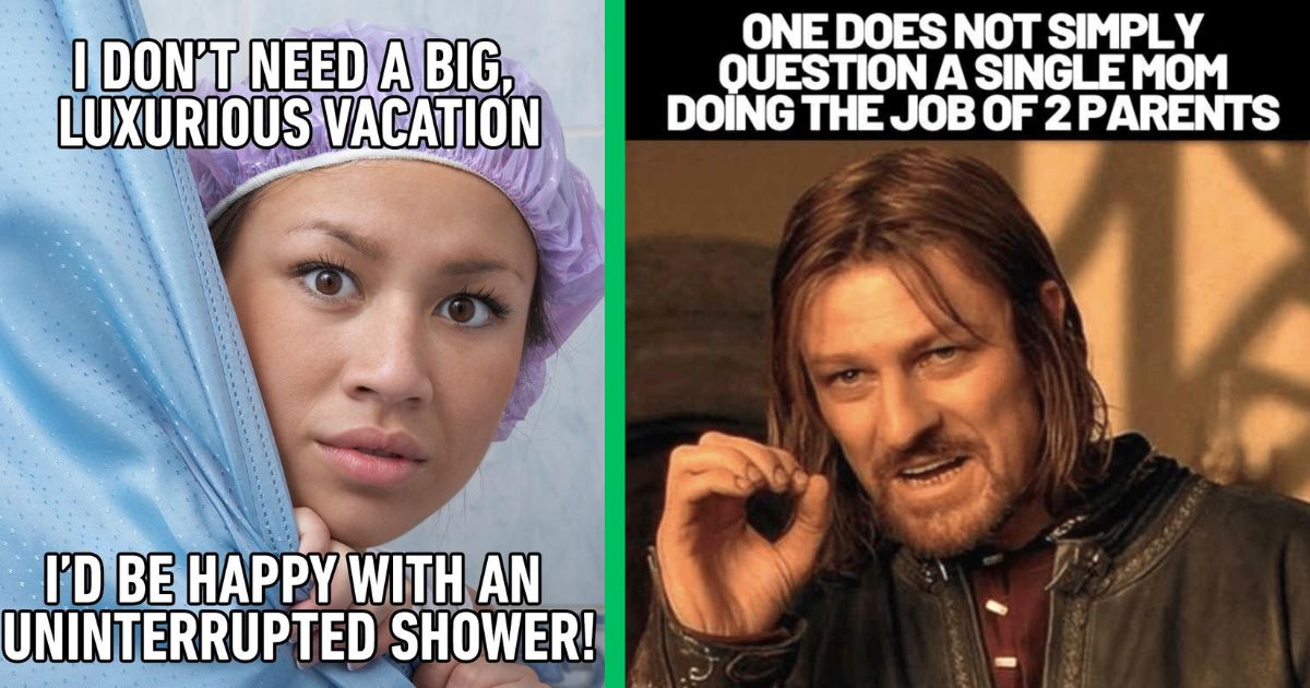 30 Funny Memes For Single Parents Who Still Find Humor in The ...