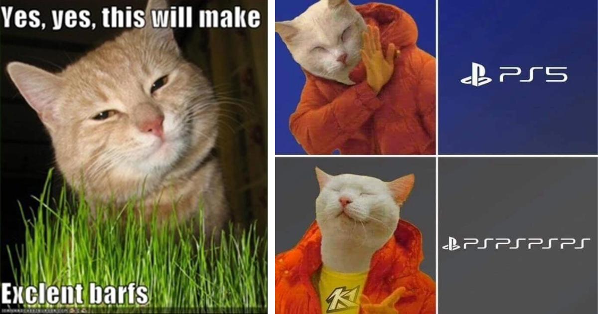 A Cat-Ton Of Memes To Keep You Purring Through The Week (45 Pics) - I ...