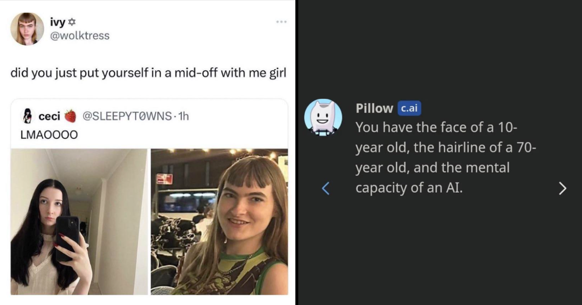 15 Times People Gave Immaculate Comebacks by Taking Themselves Down Too ...