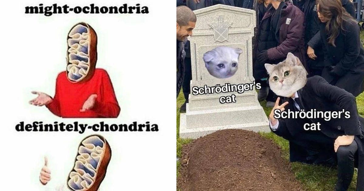 43 Science Memes for All the Physics Nerds Out There (August 19, 2023 ...