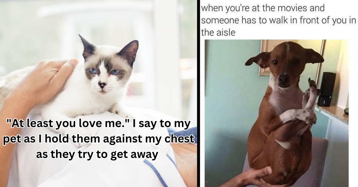 30 Giggle-Worthy Animal Memes For A Good Giggle During The Work Day ...