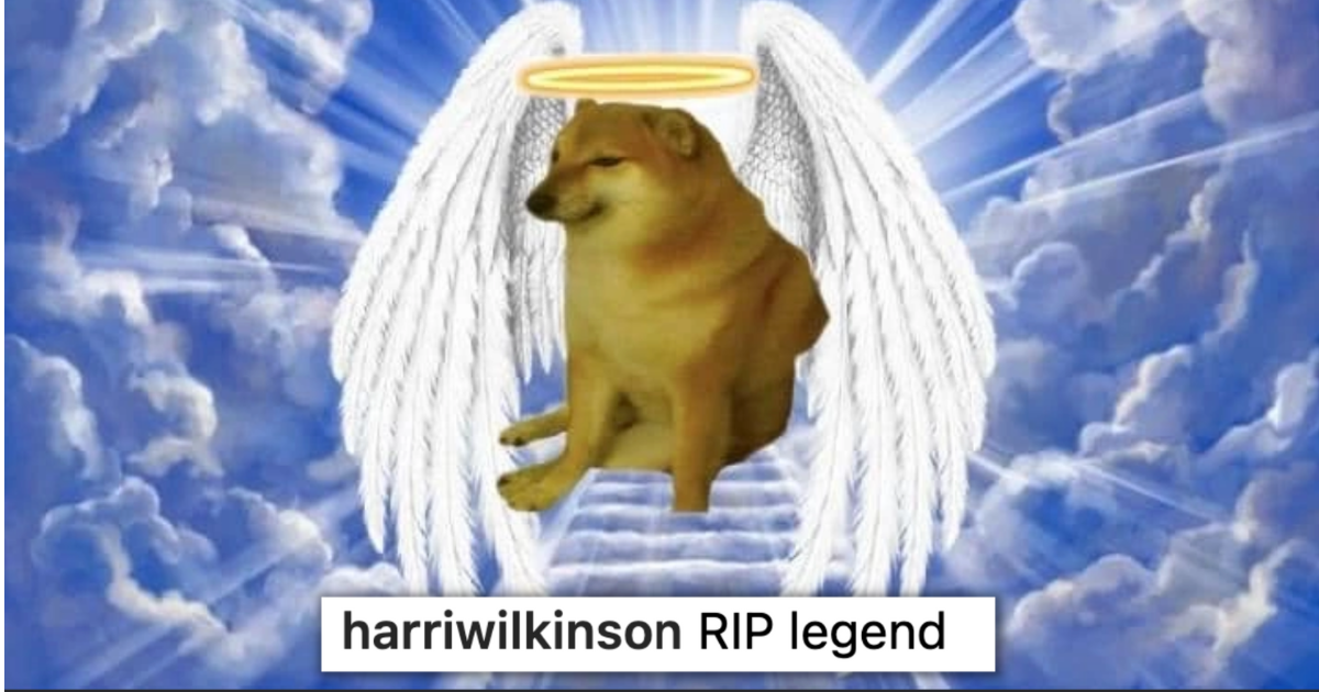 Saying Goodbye To A Legend: Internet-Famous Shiba 'Cheems' Crosses The ...