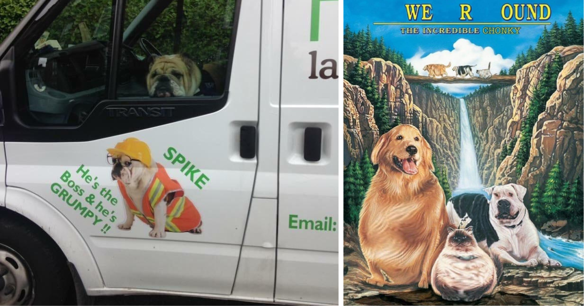 Enjoy These 35+ Doggone Hilarious Doggo Memes That Tickle Your Funny ...