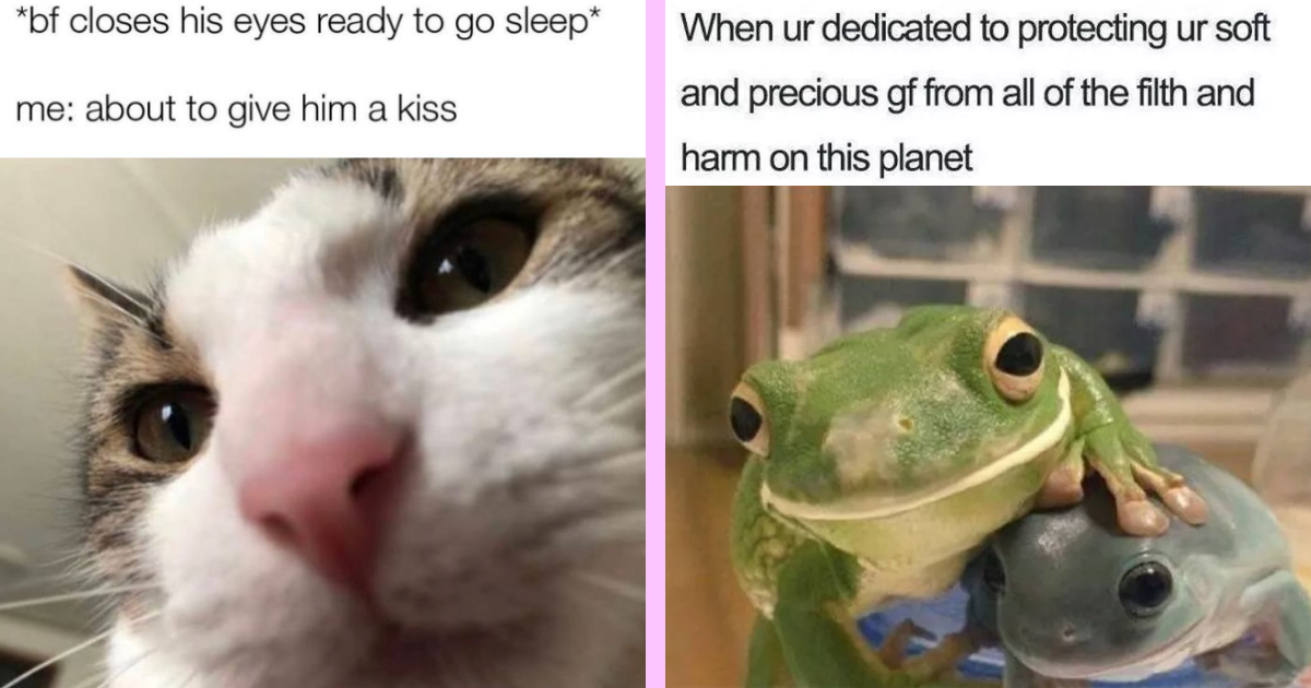 An Entire Zoo of Healthy Relationship Advice in the Form of 32 ...