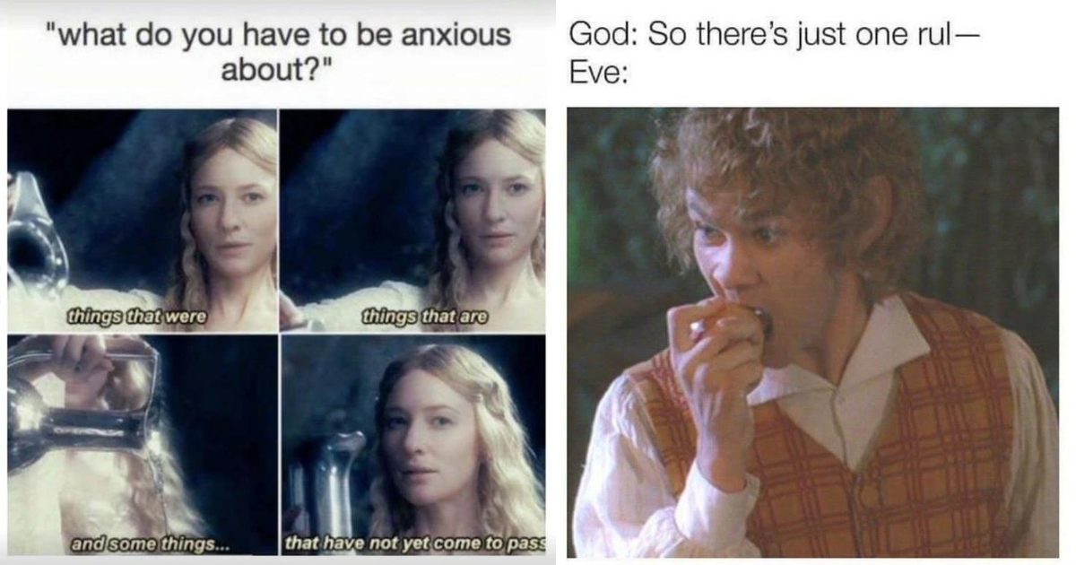 40 Precious Lord of the Rings Memes That Answer When Gondor Calls for ...