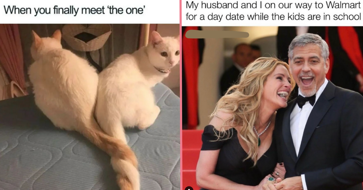 Couple Development Memes