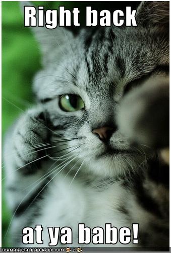 Right back at ya babe! - Cheezburger - Funny Memes | Funny Pictures