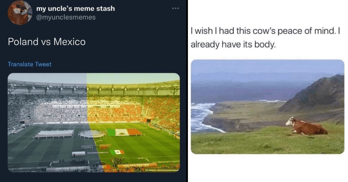 A Shifty Selection of 32 Memes - Memebase - Funny Memes