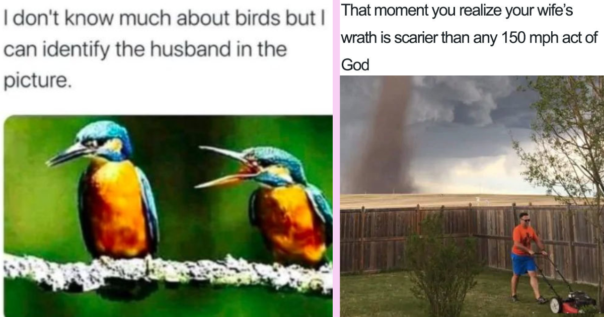 34 Sassy Spouses Memes for Couples Who Communicate Through Bickering ...