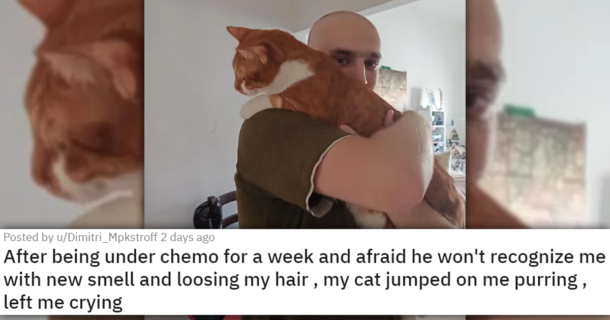 Cat Gives Comfort To His Human After He Comes Back From A Week Of Chemo ...