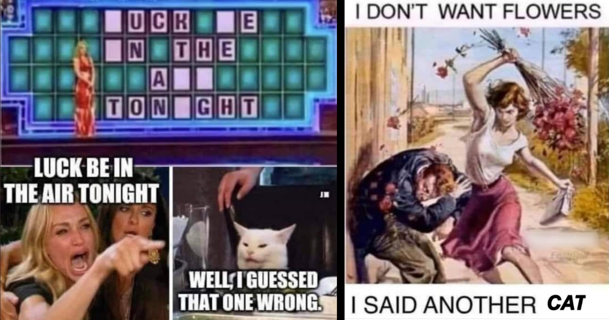 Holy Guaca-meow-le: 40 Spicy Cat Memes To Add Some Feisty Feline Flavor To Your Taco Tuesdays ...